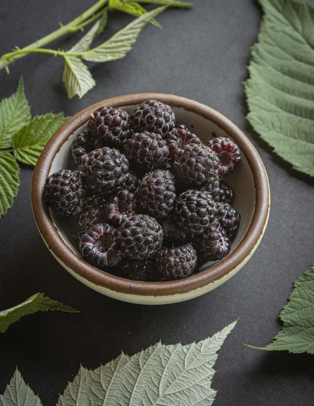 Black Raspberries (The Black Cap Berry) - Forager | Chef