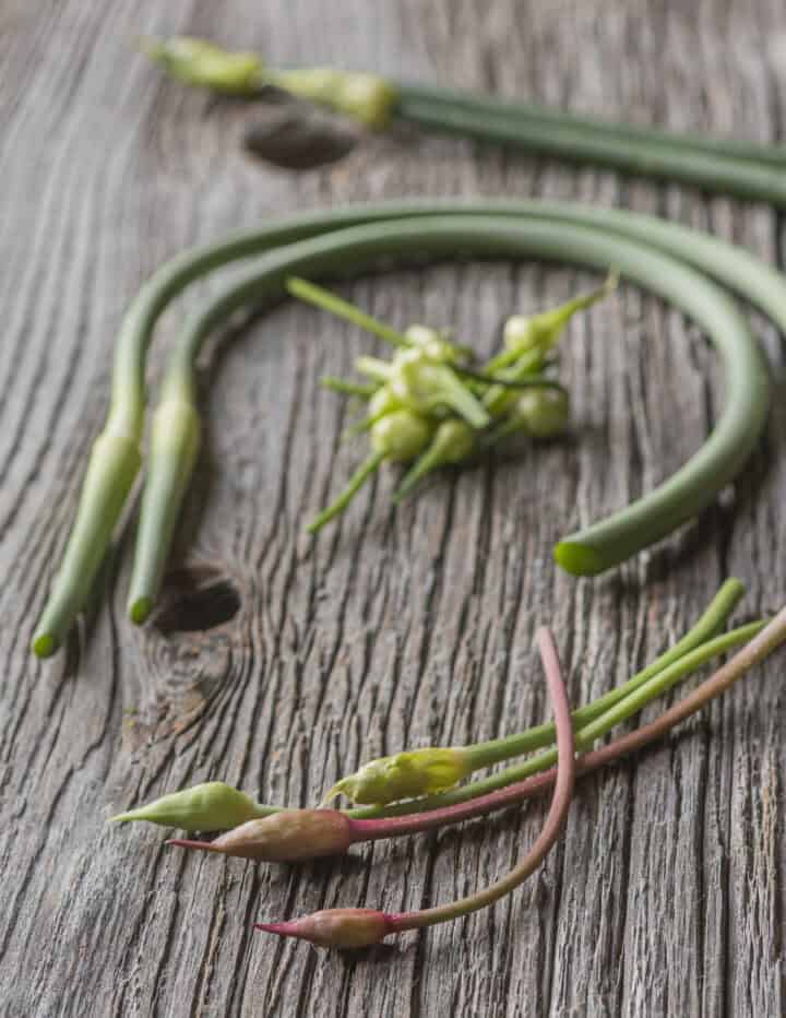 Cooking with Garlic Scapes: Recipes, Preparation & More - Forager | Chef