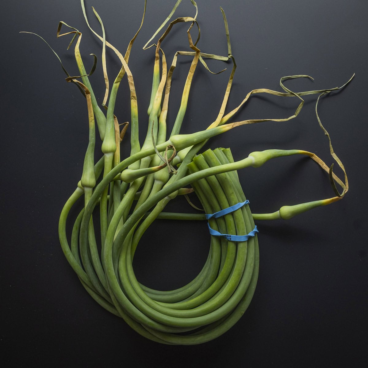 Cooking with Garlic Scapes: Recipes, Preparation & More - Forager | Chef