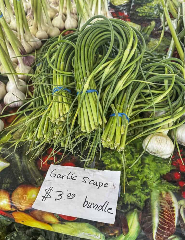 Cooking with Garlic Scapes: Recipes, Preparation & More - Forager | Chef