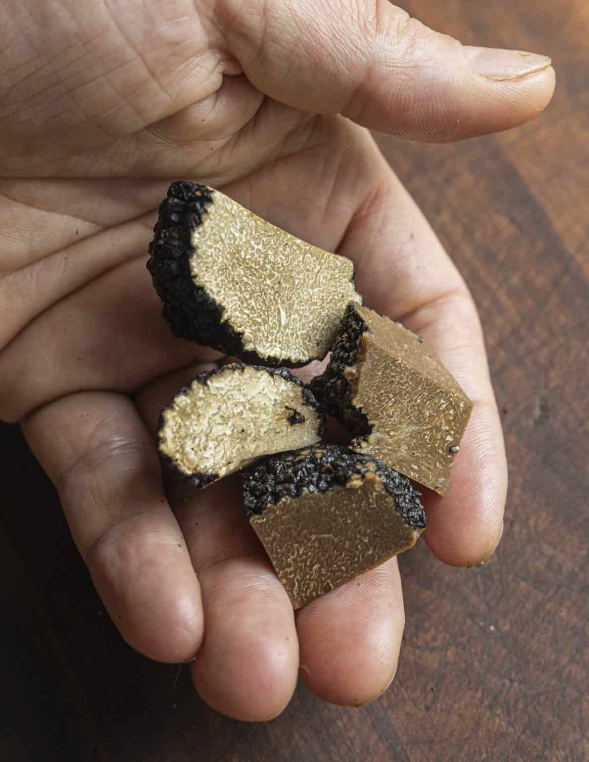 The Summer Truffle (Tuber aestivum & uncinatum) - Forager | Chef