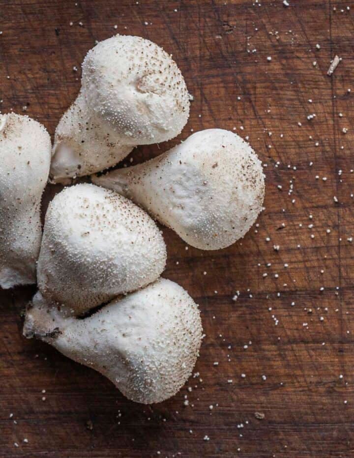 Gem-Studded and Pear Shaped Puffballs: Foraging, Cooking and More
