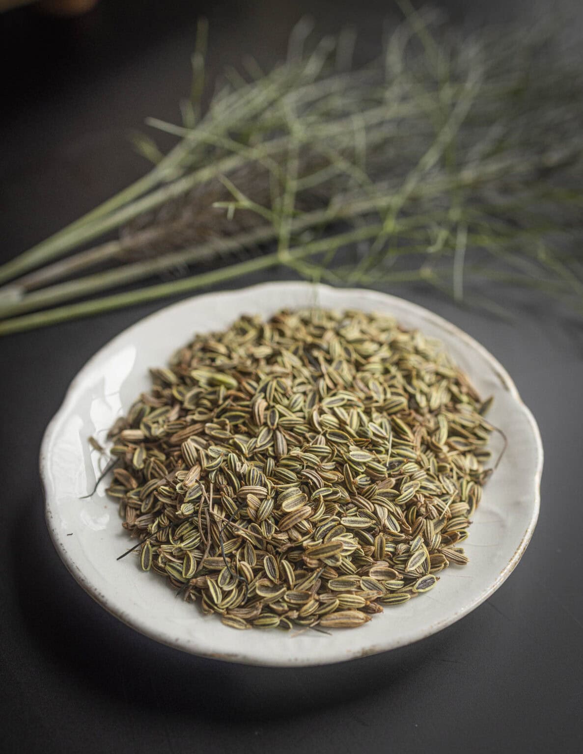 Bronze Fennel: A Delicious Herb That Tastes Like Licorice - Forager | Chef