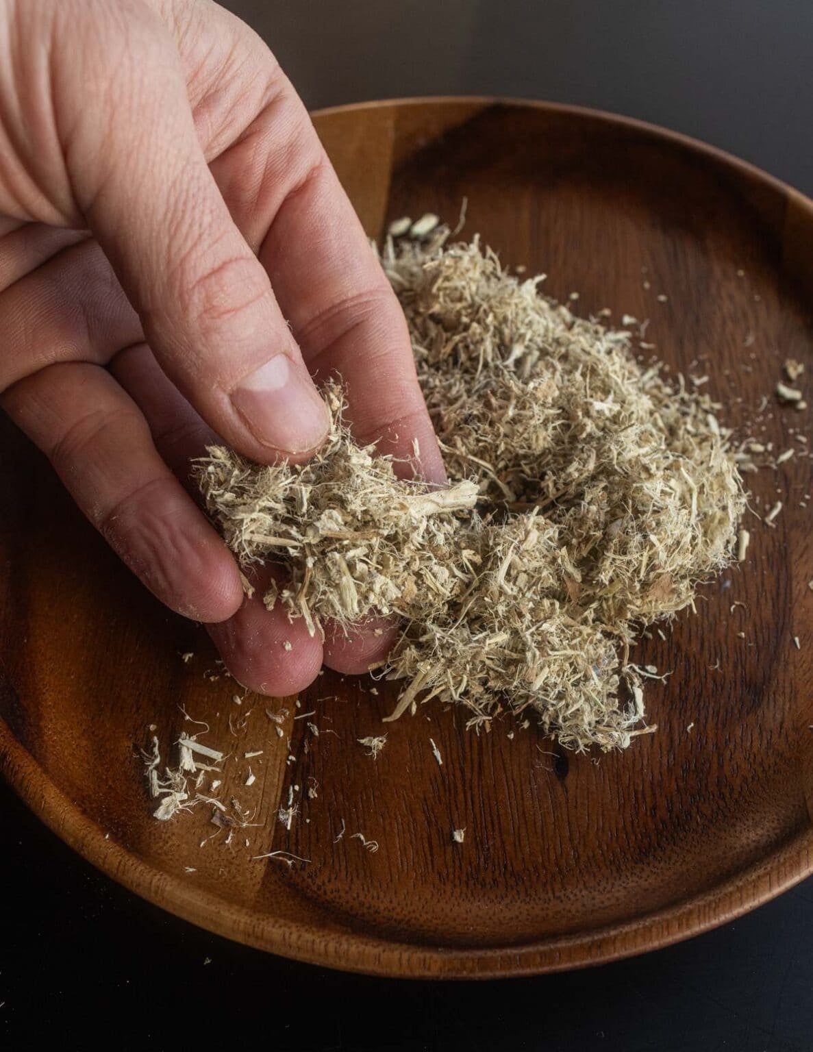 Common Mallow Plants (Cheeseweed) and Friends - Forager | Chef