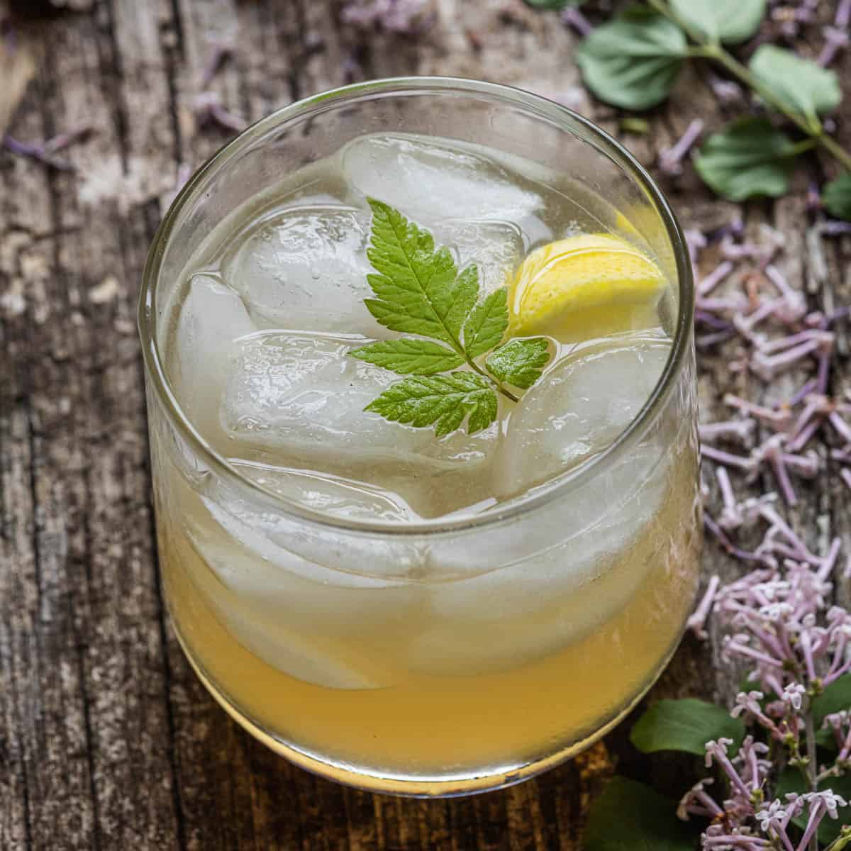 Honey-Lilac Lemonade - Forager | Chef